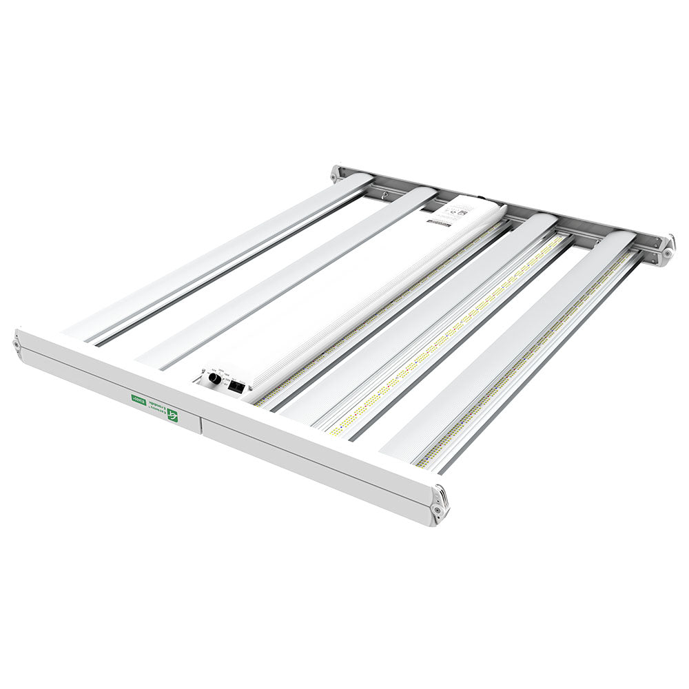 What Is Far-Red And What Does It Do For Plants? – Growers-republic